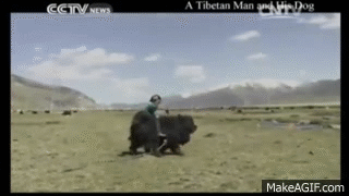 Tibetan man and his dog on Make a GIF