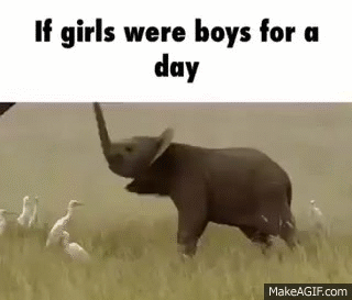 If girls were boys for a day... on Make a GIF