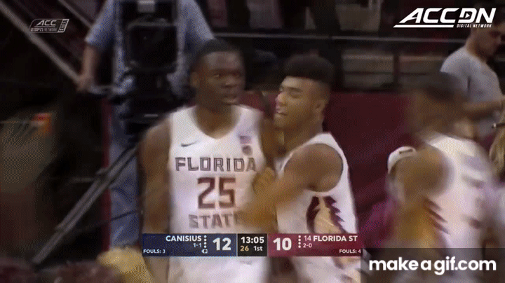 Canisius vs. Florida State Basketball Highlights (2018-19) on Make a GIF