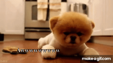 So cute on Make a GIF