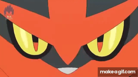 Ash's Litten Evolves Into Torracat Pokemon Sun & Moon Episode 63 on ...