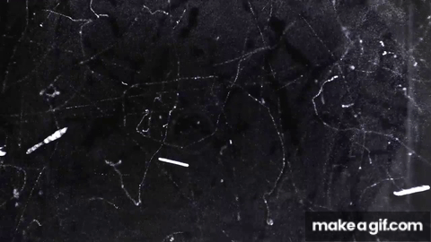 Cloud chamber: Radioactive particles on Make a GIF