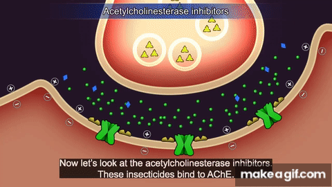 Resistance101 - Insecticide classes & modes of action on Make a GIF