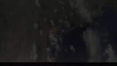 The Observable Universe (accurately scaled zoom out from Earth) on Make ...