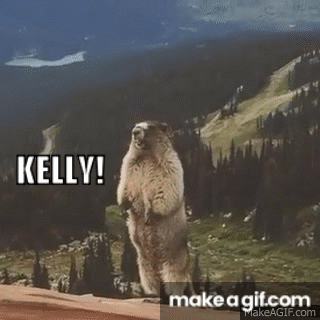 Screaming Marmot GIFs - Get the best GIF on GIPHY on Make a GIF