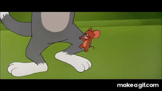 Tom Cat Screaming Gif