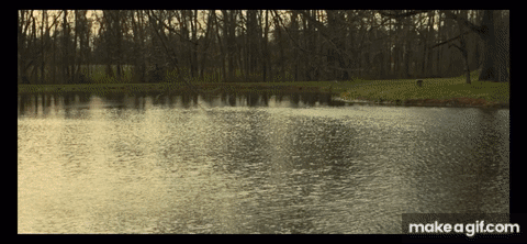 170CoU is an Animated GIF Image on Make a GIF