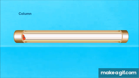 Gas Chromatography (IQOG-CSIC) on Make a GIF