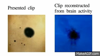 Movie reconstruction from human brain activity on Make a GIF
