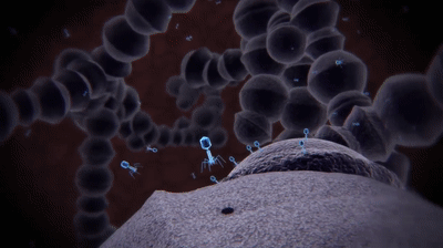 Genome Editing with CRISPR-Cas9 on Make a GIF