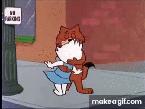 Fancy Cat Gif