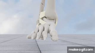 Ankle Fracture Classification on Make a GIF