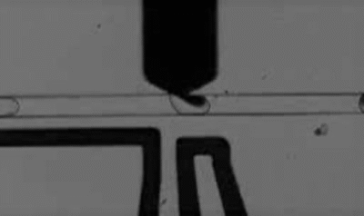 pico injector on on Make a GIF