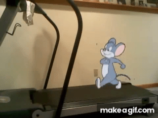 Mouse on Treadmill on Make a GIF