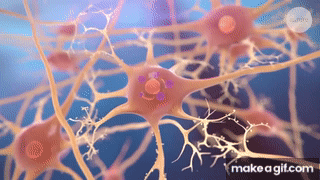 Understanding Parkinson's disease on Make a GIF