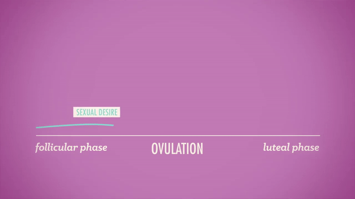 Lets Talk About Sex Crash Course Psychology 27 On Make A 