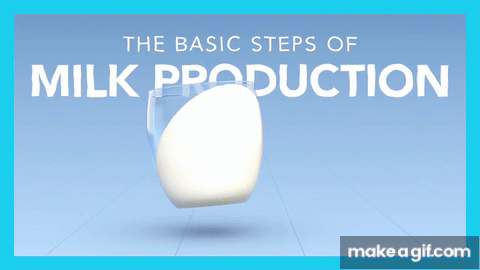 The basic steps of milk production on Make a GIF
