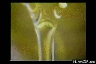 Early 80's Shampoo and Hair Commercials on Make a GIF