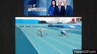 The Apprentice UK | Season 11 Episode 8 | Party Planning on Make a GIF