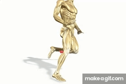 ACL Tear (Sports Injury) on Make a GIF