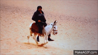 Donkey Ride on Make a GIF