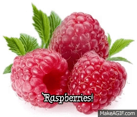 RASPBERRIES! on Make a GIF