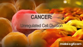 Cancer: Unregulated Cell Division on Make a GIF