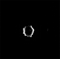 huffpostscience: These MRI images of fruit, vegetables and... on Make a GIF