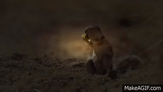 Africa Episode 1 Kalahari with David Attenborough - Documentary on Make ...