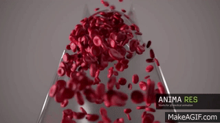 3d animated blood flow - Windkessel effect on Make a GIF