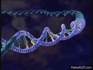 HIV Replication 3D Medical Animation on Make a GIF