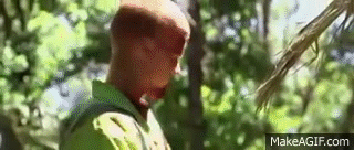 Green Inferno Memes