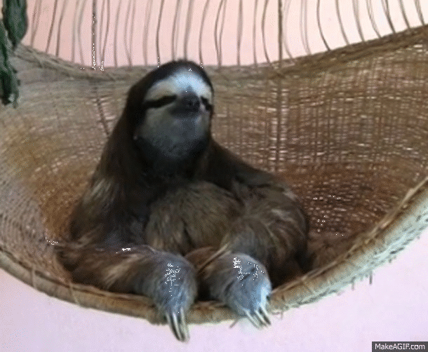 Sloth on Make a GIF