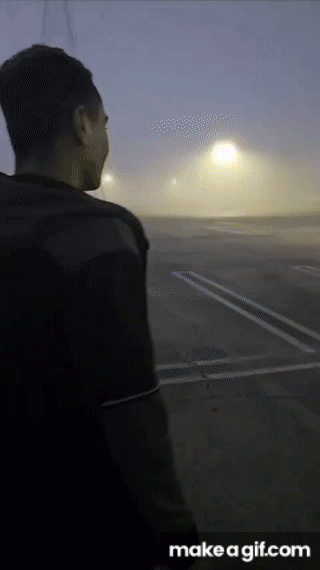 donkey walk on Make a GIF
