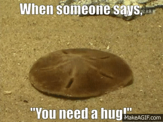 When Someone Says, You Need A Hug on Make a GIF