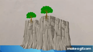 3) Weathering and mass movement at the coast - AQA GCSE Geography Unit ...