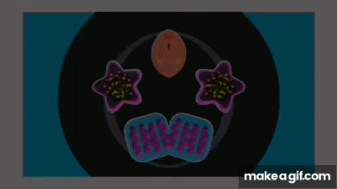 Fisher-Price Laugh & Learn Theme Song in G Major 21594 on Make a GIF