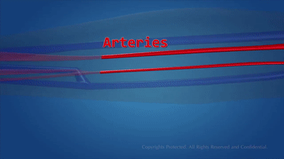 Human Circulatory System on Make a GIF