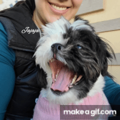 Dog laughing on Make a GIF