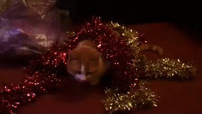 Catandthetinsel on Make a GIF
