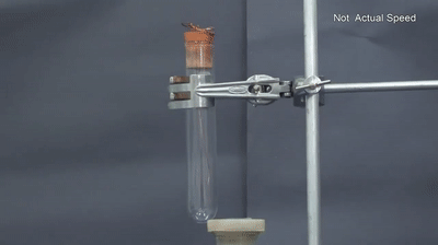SILVER NITRATE AND COPPER REDOX REACTION on Make a GIF