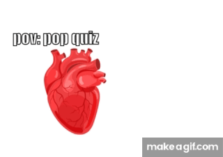 pov: pop quiz on Make a GIF