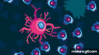 How The Immune System ACTUALLY Works – IMMUNE on Make a GIF