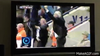 Leicester City's security guard gets very excited over their goal on ...