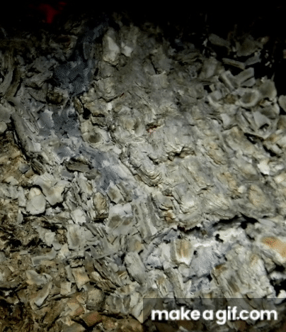 Ashes & Embers on Make a GIF