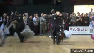 Viennese Waltz on Make a GIF