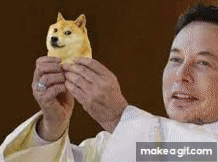 doge has good life then he died and became god on Make a GIF