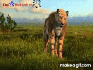 The Kingdom of Sabertooth: Bestiary on Make a GIF