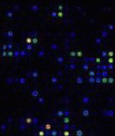 DbR0a8 is an Animated GIF Image on Make a GIF