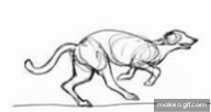 Perros Corriendo Gif